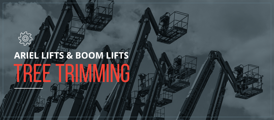 Used Boom Lifts for Tree Trimming